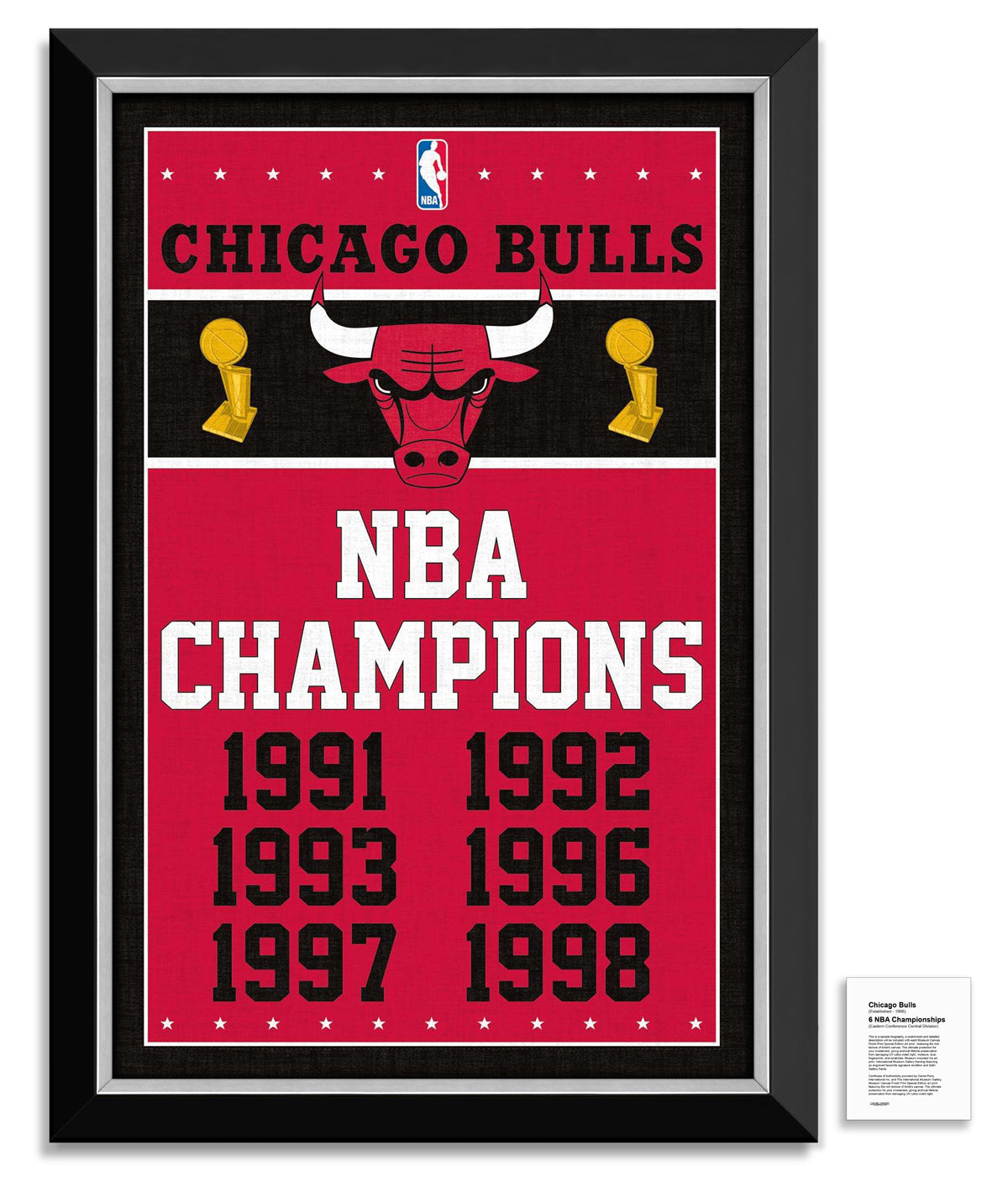 Chicago Bulls 6X NBA Champions - Framed Non-glare Museum Matte - Archi — danielparry.com